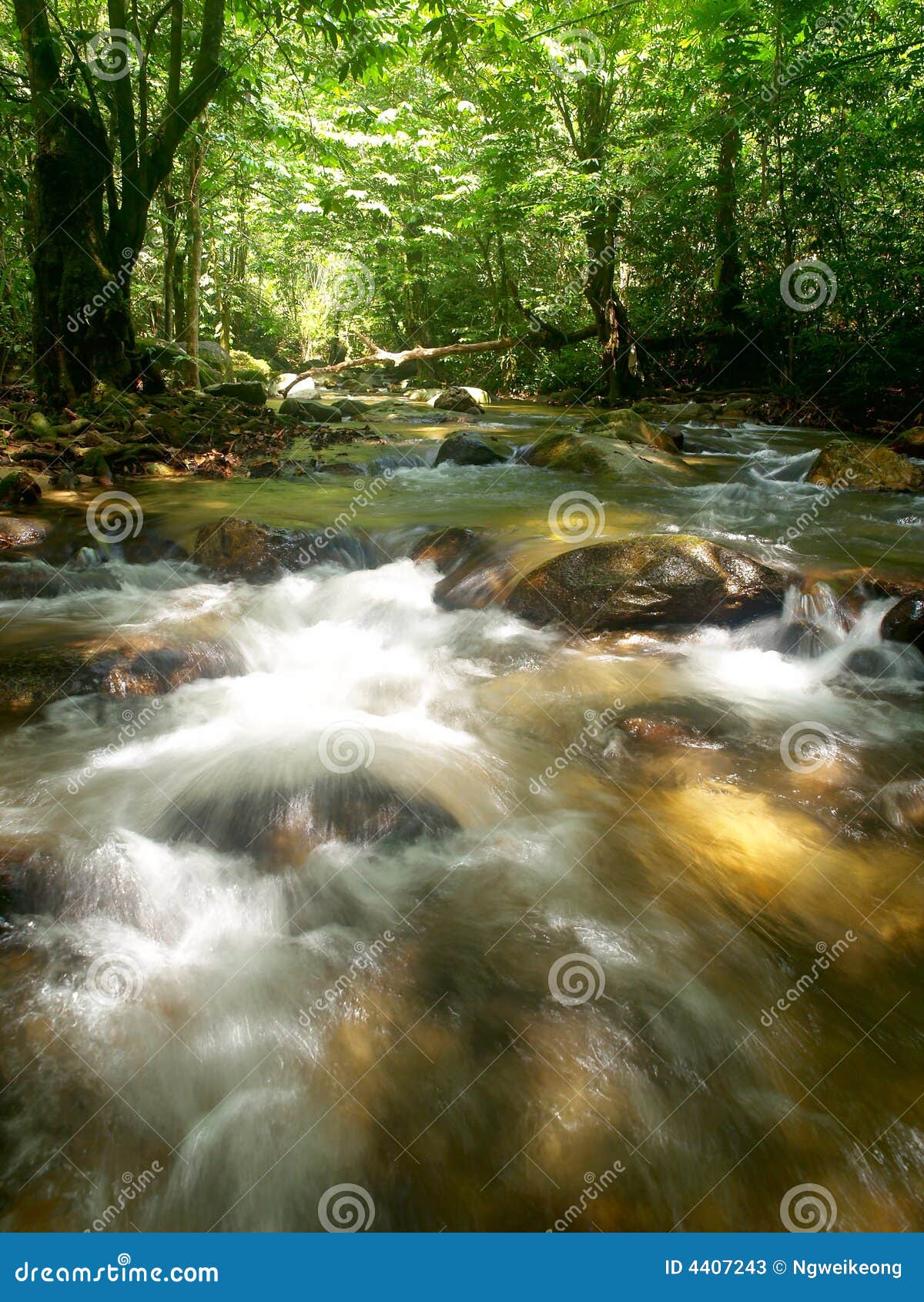 De Tropische Waterval Van De Berg Stock Afbeelding - Image of milieu ...