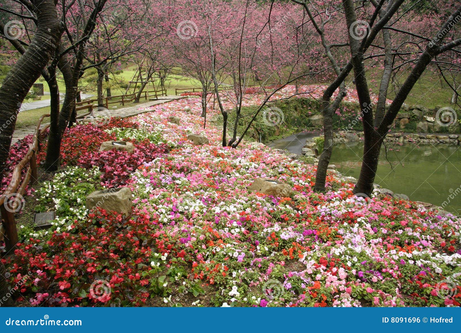 De Tuin Van De Bloem Van Taiwan Stock Foto - Image of ontspan, toon ...