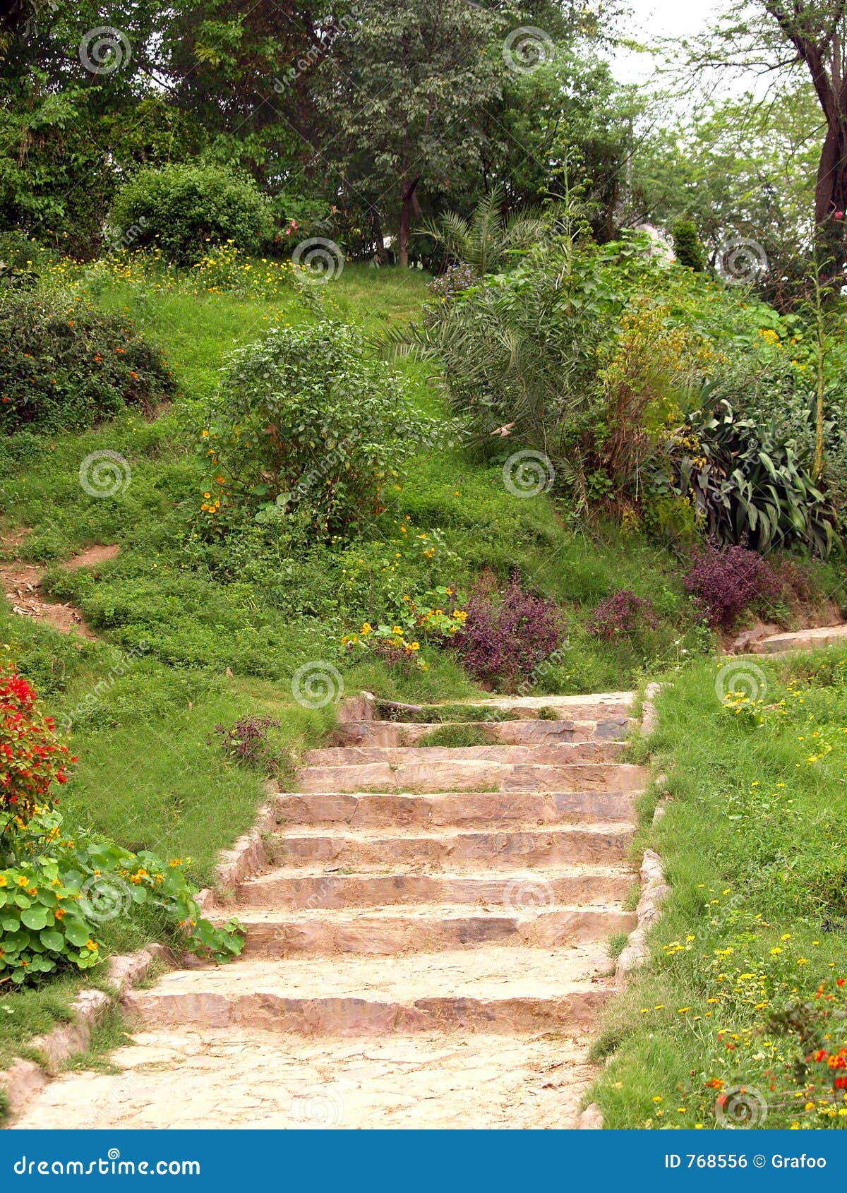 De Tuin van de heuvel stock foto. Image of gezond, tuinieren - 768556