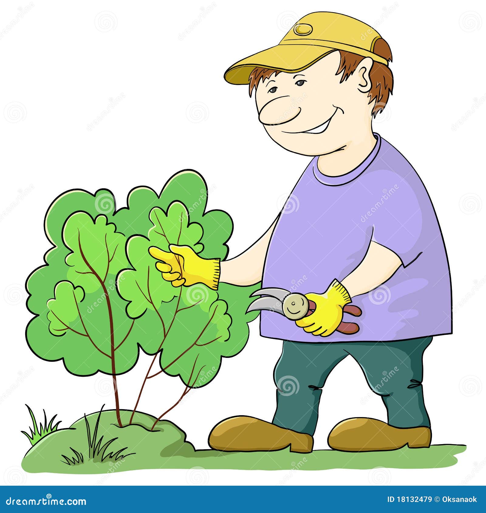 De Tuinman Snijdt Een Struik Vector Illustratie - Illustration of ...
