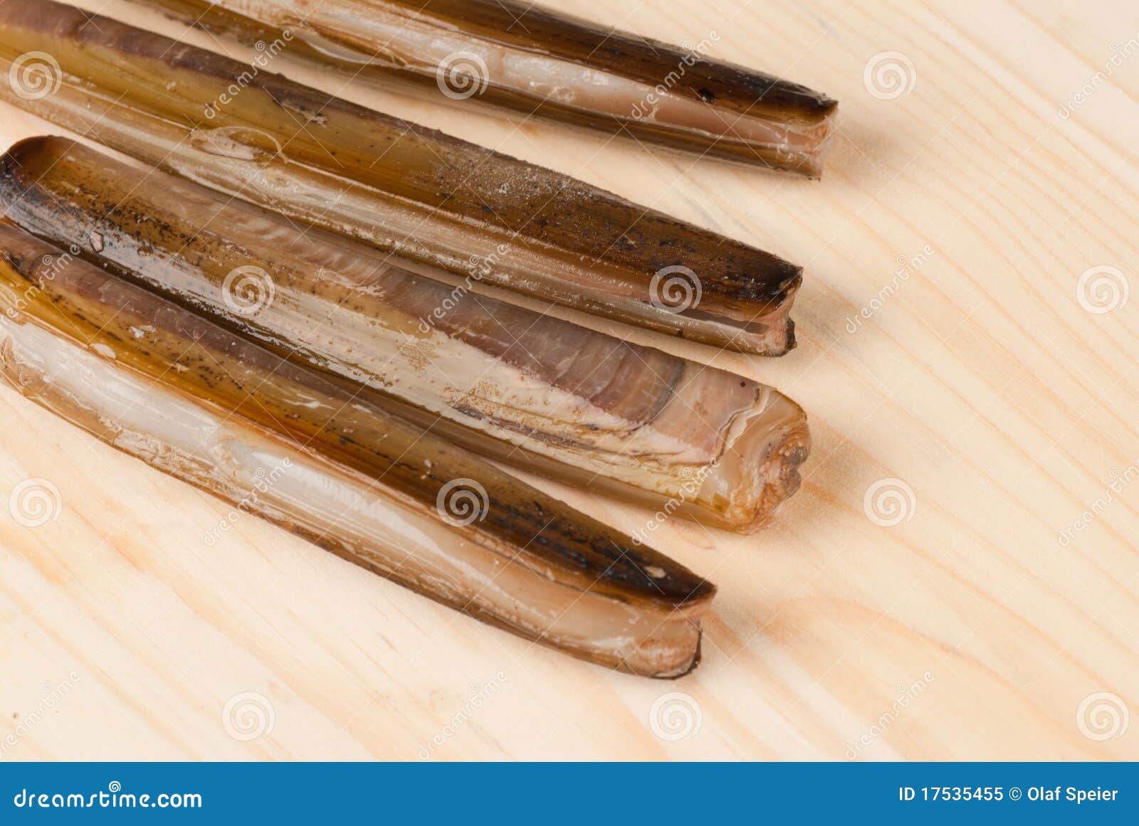 De Tweekleppige Schelpdieren Van Het Scheermes Stock Afbeelding - Image ...