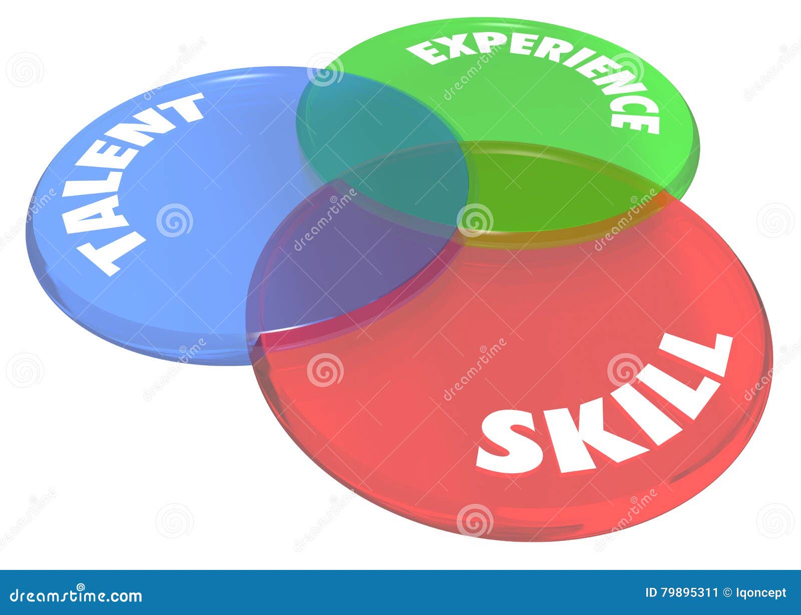 De Vaardigheid Venn Diagram Circles Van Het Ervaringstalent Stock ...