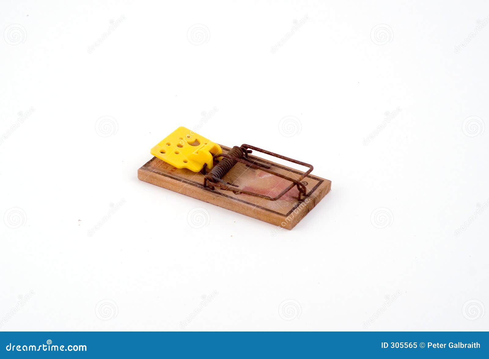 De val van de muis stock afbeelding. Image of gopher, moord - 305565