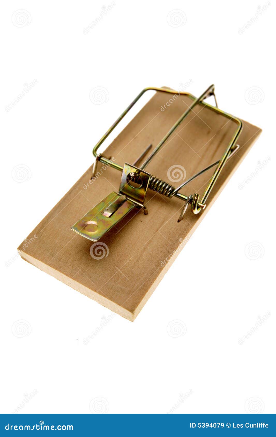 De val van de muis stock afbeelding. Image of uitroeiing - 5394079