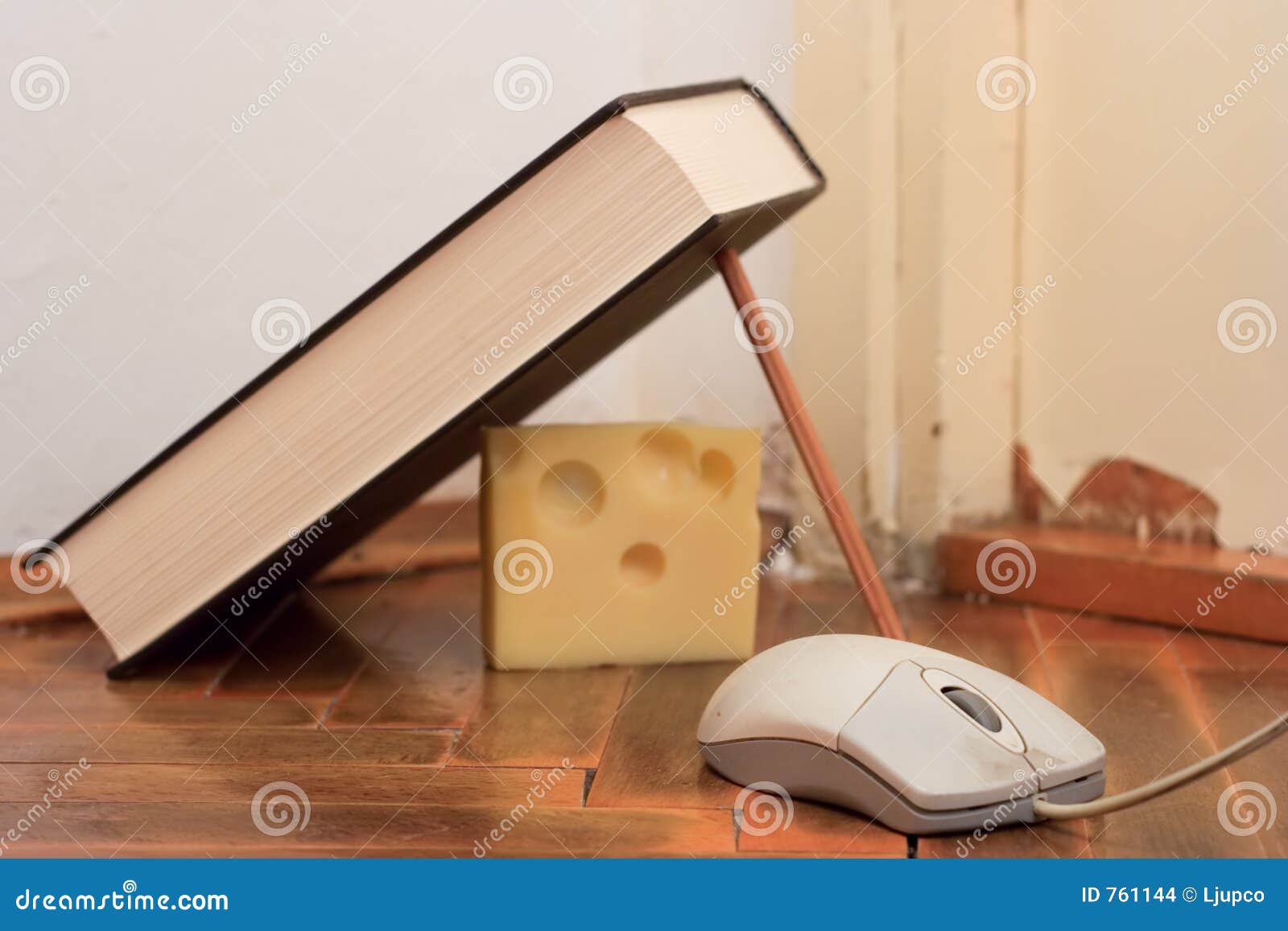 De val van de muis stock foto. Image of begrip, veevoeder - 761144