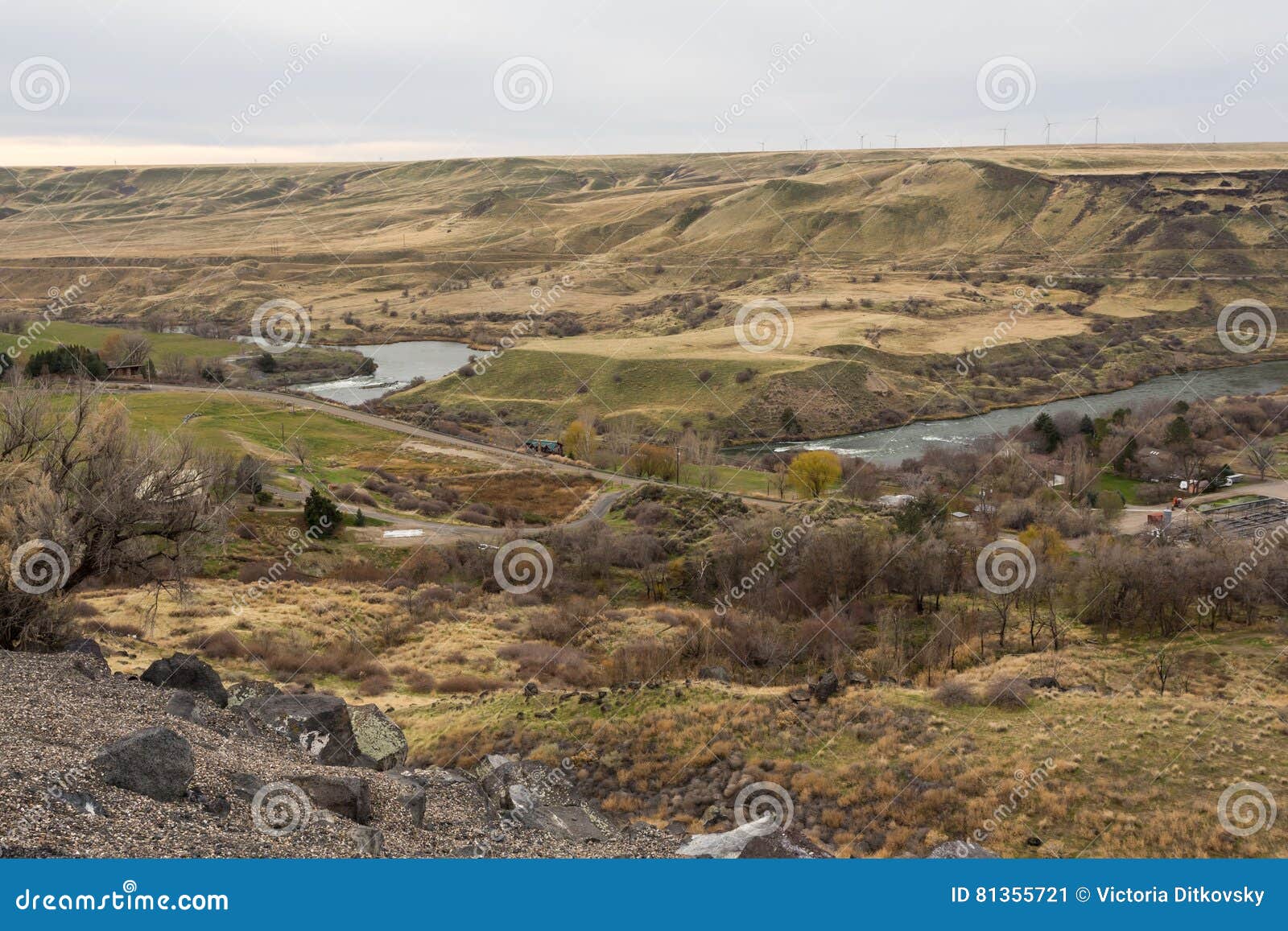 De Vallei Van De Slangrivier Stock Afbeelding - Image of fossiel, idaho ...