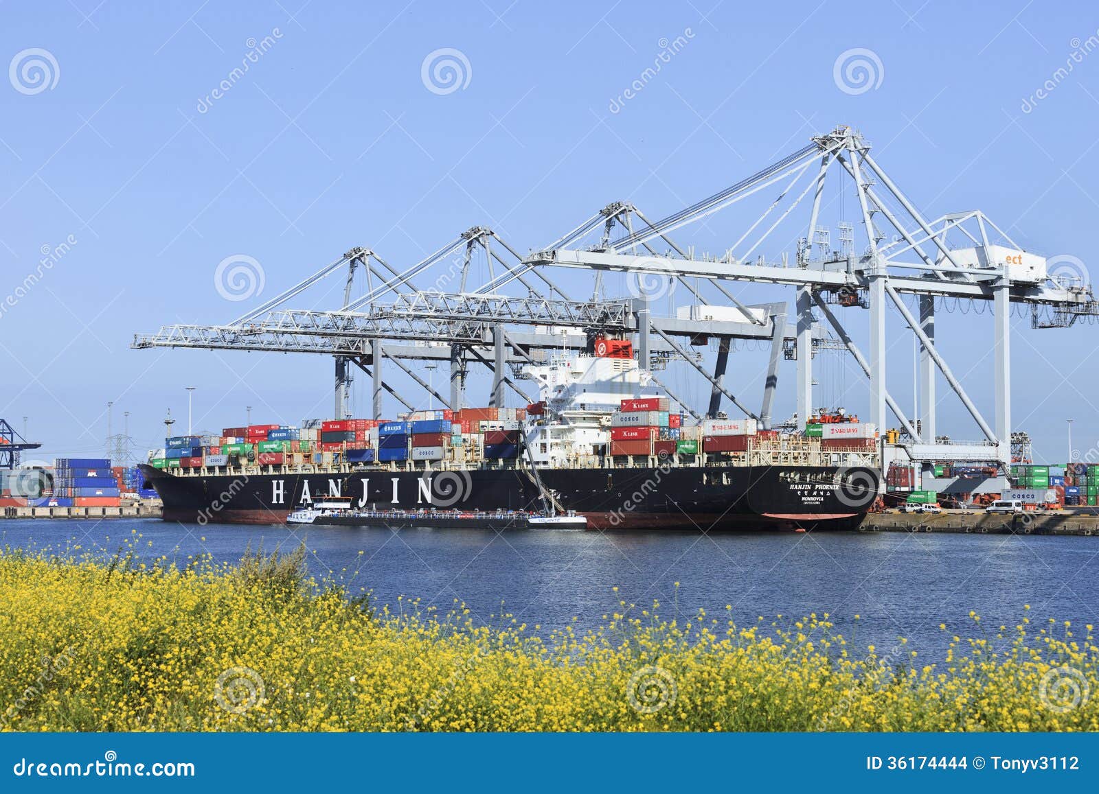 De Vastgelegde Haven Van Het Containerschip Van Rotterdam Redactionele ...