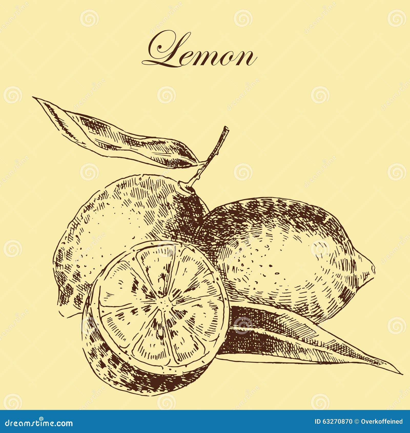 De Vector Getrokken Schets Van De Citroencitrusvrucht Hand in Inkt En ...