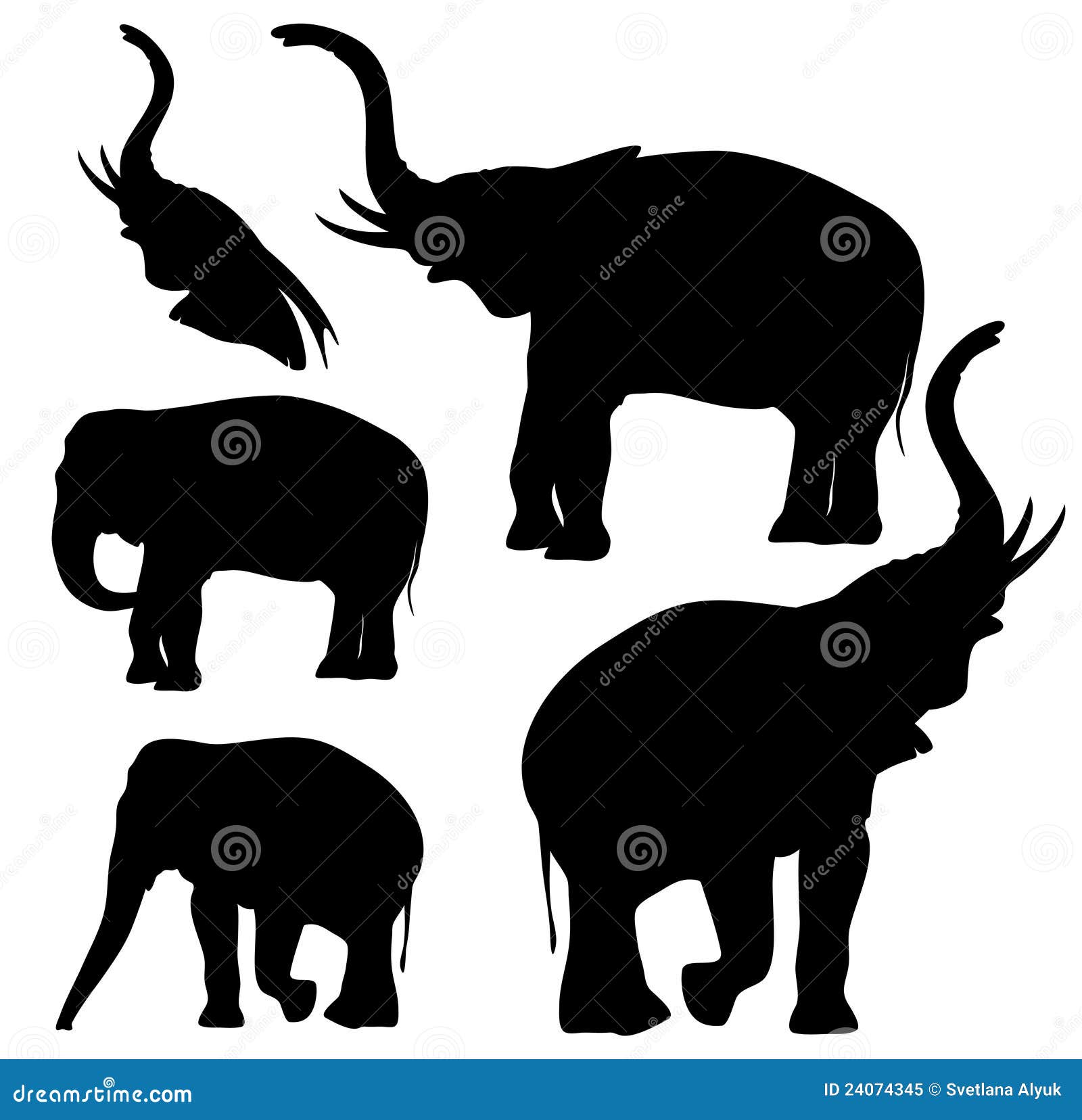 De vector van olifanten vector illustratie. Illustration of hoofd ...