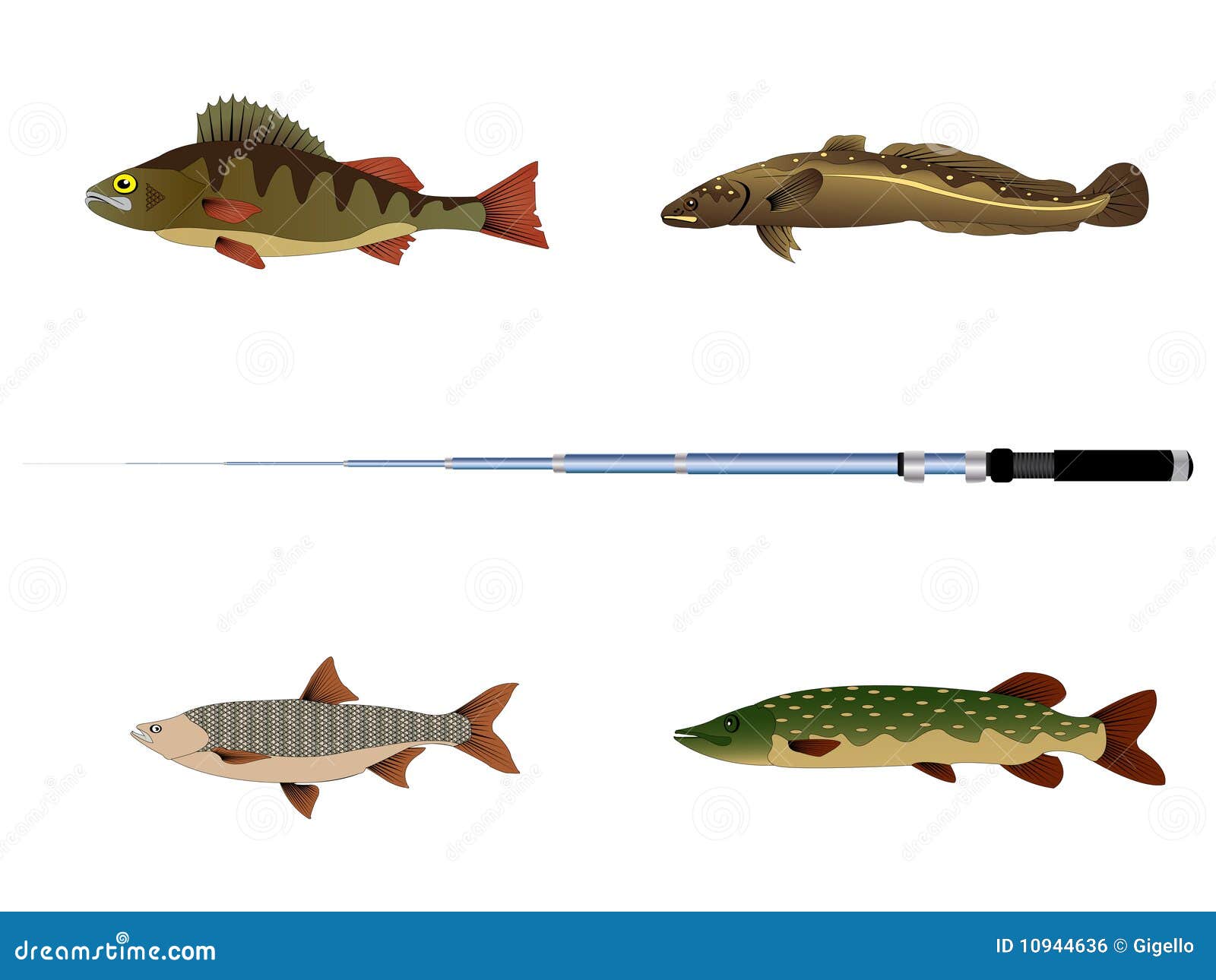 De vector van vissen vector illustratie. Illustration of krab - 10944636