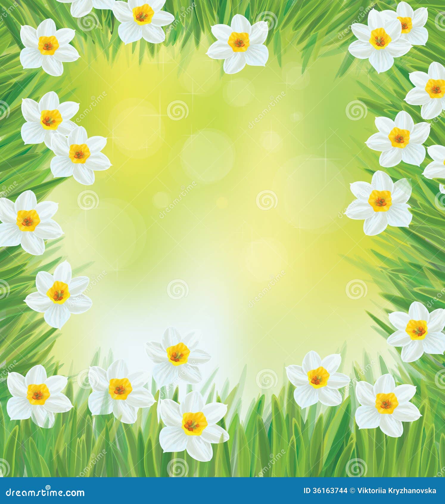 De Vectorgele Narcis Bloeit Kader. Vector Illustratie - Illustration of ...