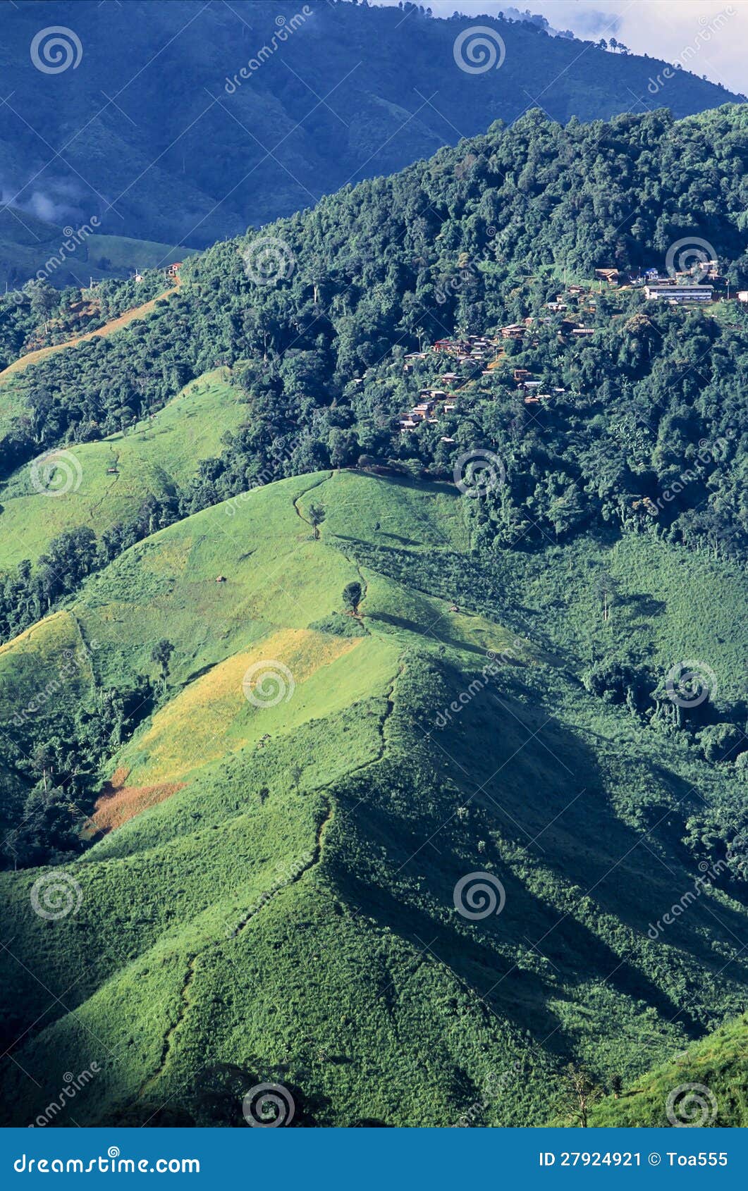 De Vernietiging Van Het Regenwoud in Thailand Stock Afbeelding - Image ...