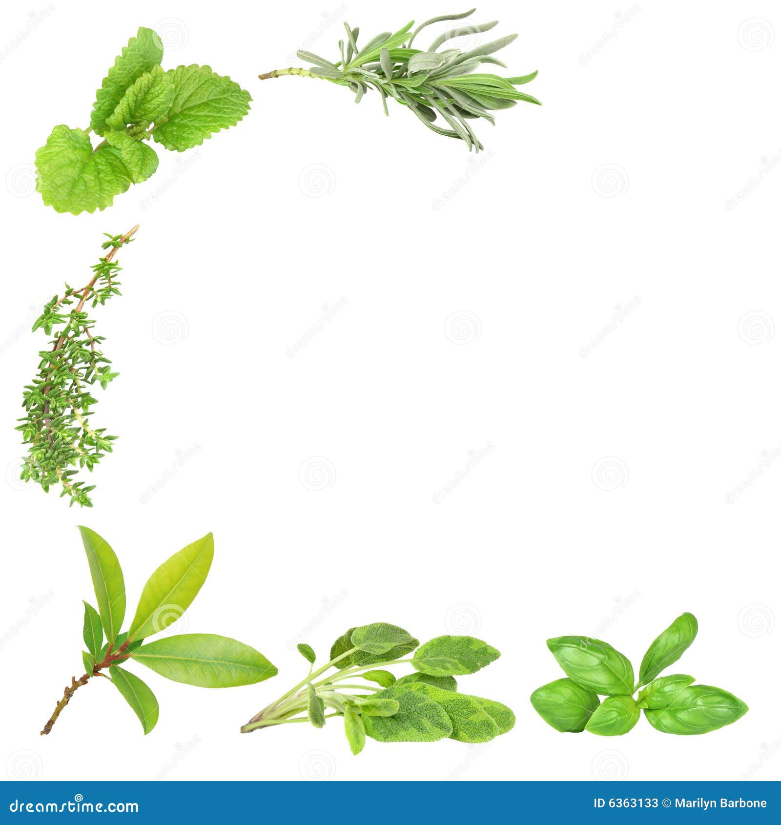 De Verscheidenheden Van Het Kruid Stock Afbeelding - Image of ...