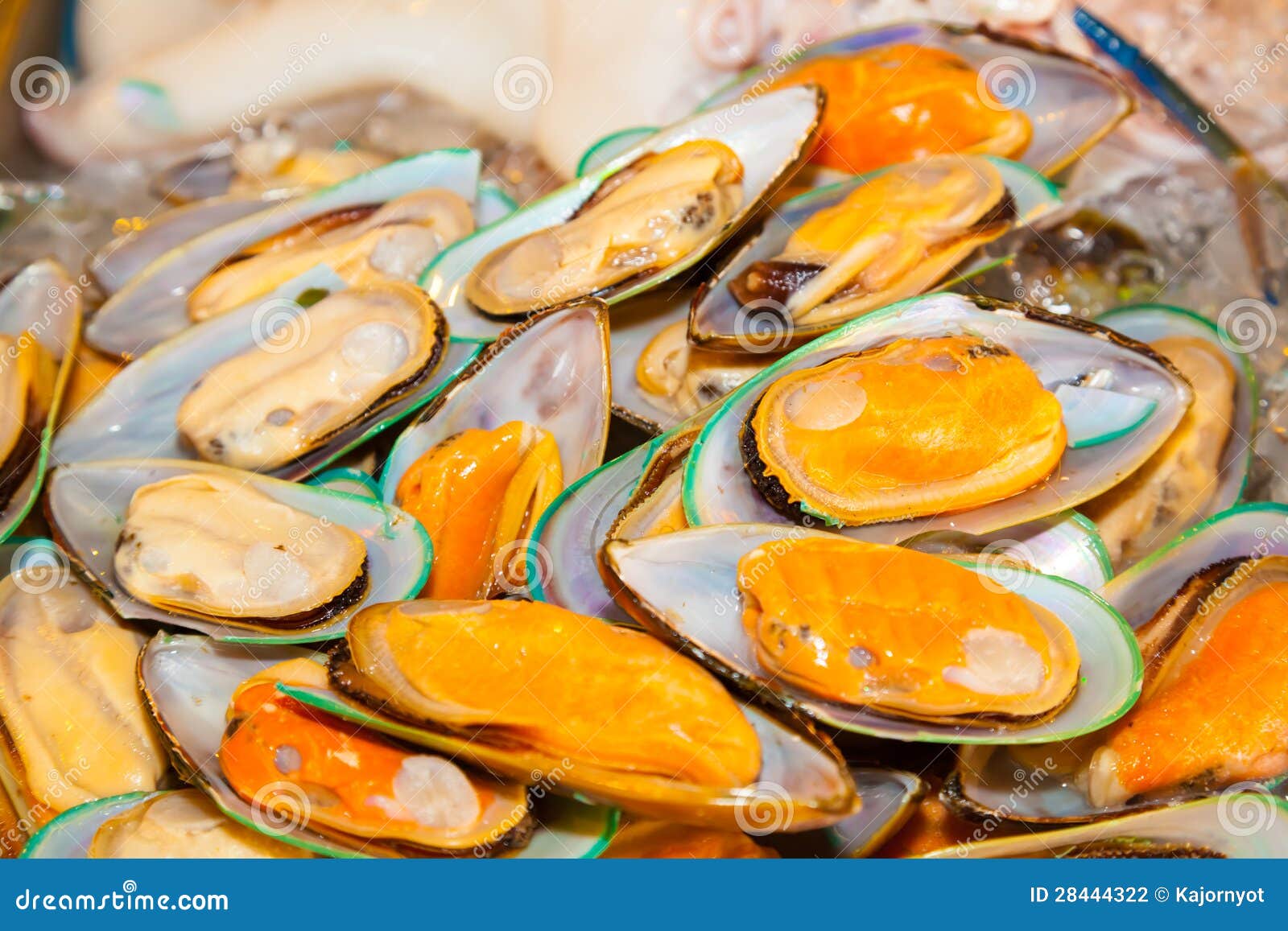 De Verse Groene Mossel Van Nieuw Zeeland Stock Foto - Image of vlees ...