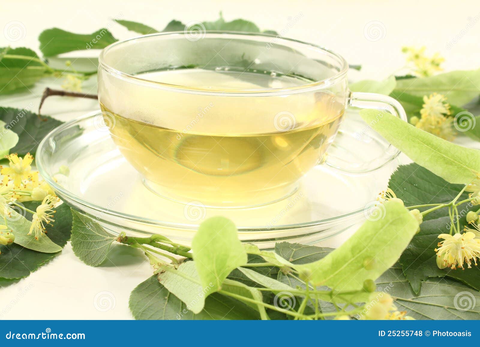 De Verse Thee Van De Lindebloesem Stock Foto - Image of vers, groen ...