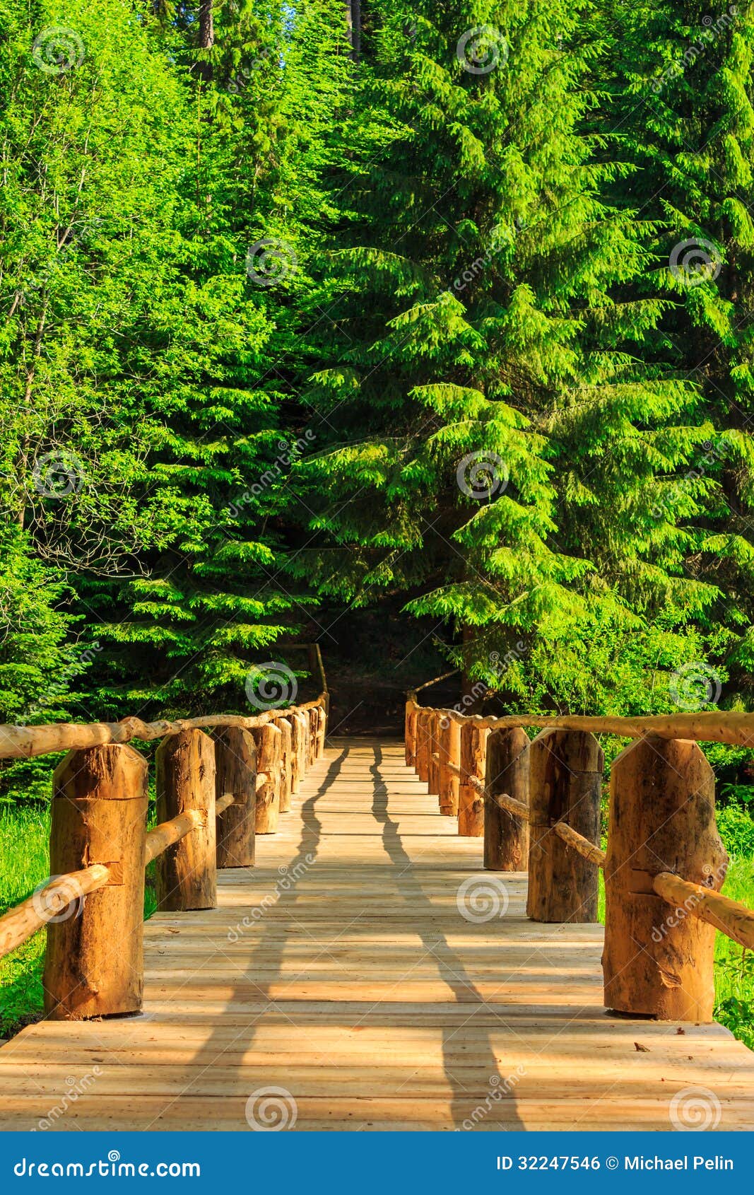 De Verticale Houten Brug Verdwijnt in Bos Stock Foto - Image of ...