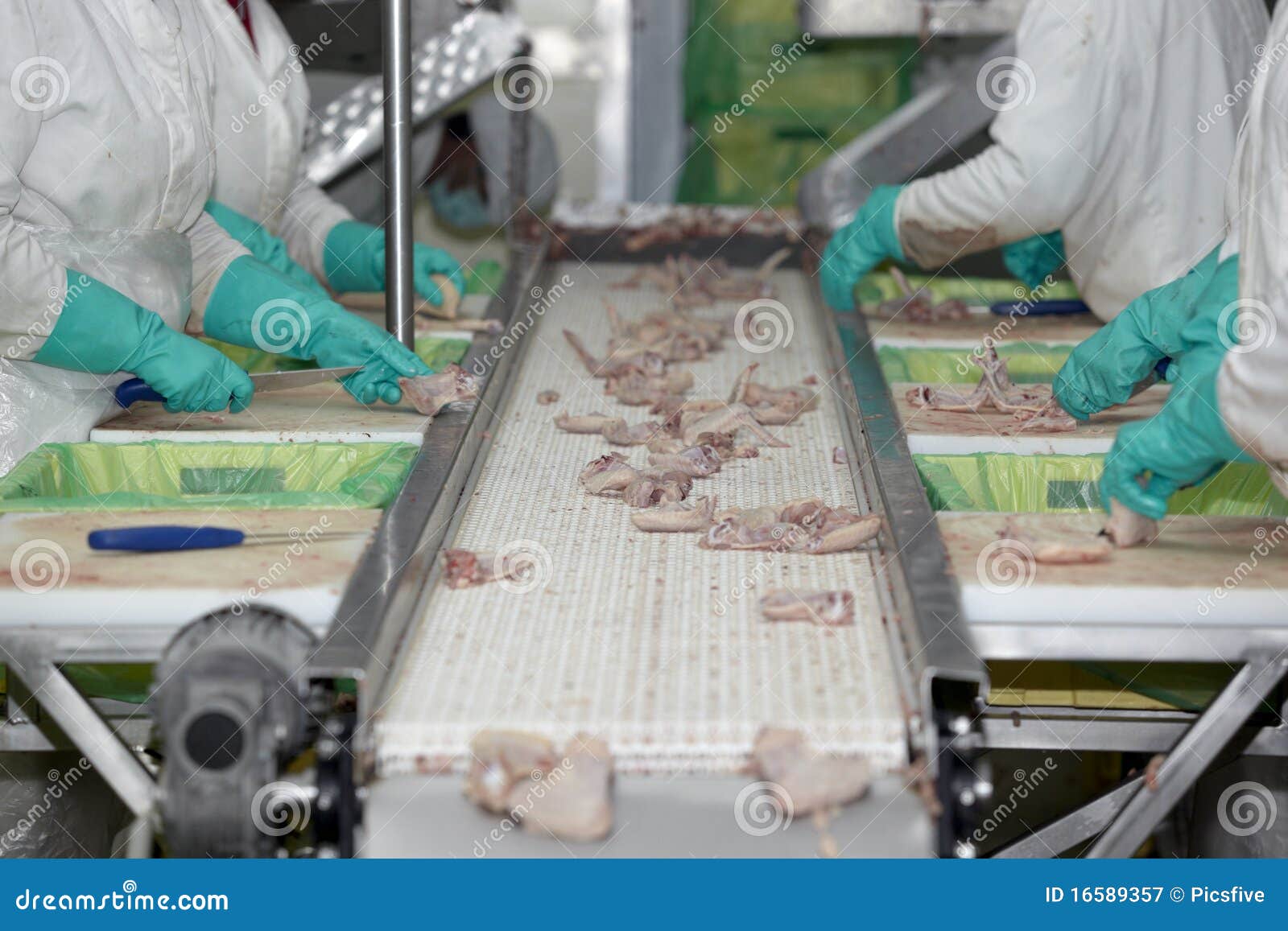 De Verwerking Van Het Gevogelte Stock Afbeelding - Image of installatie ...