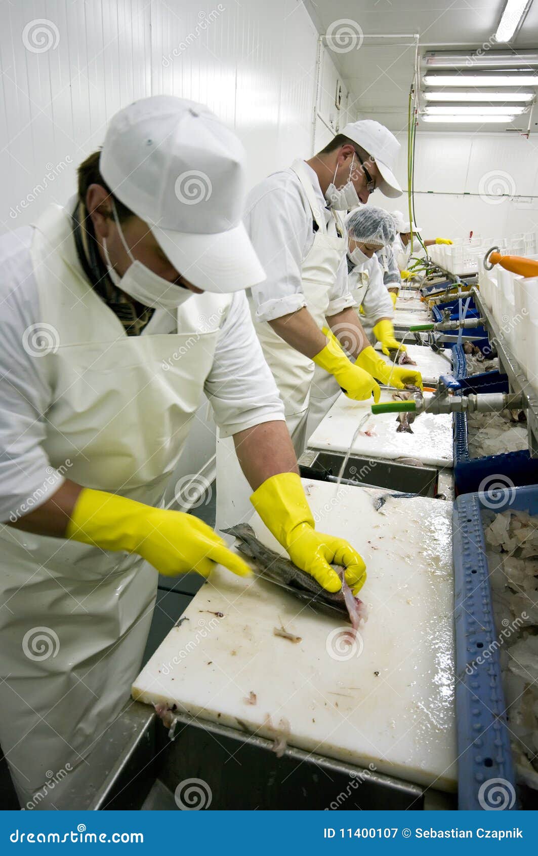 De Verwerking Van Het Voedsel Stock Afbeelding - Image of proces, zaal ...