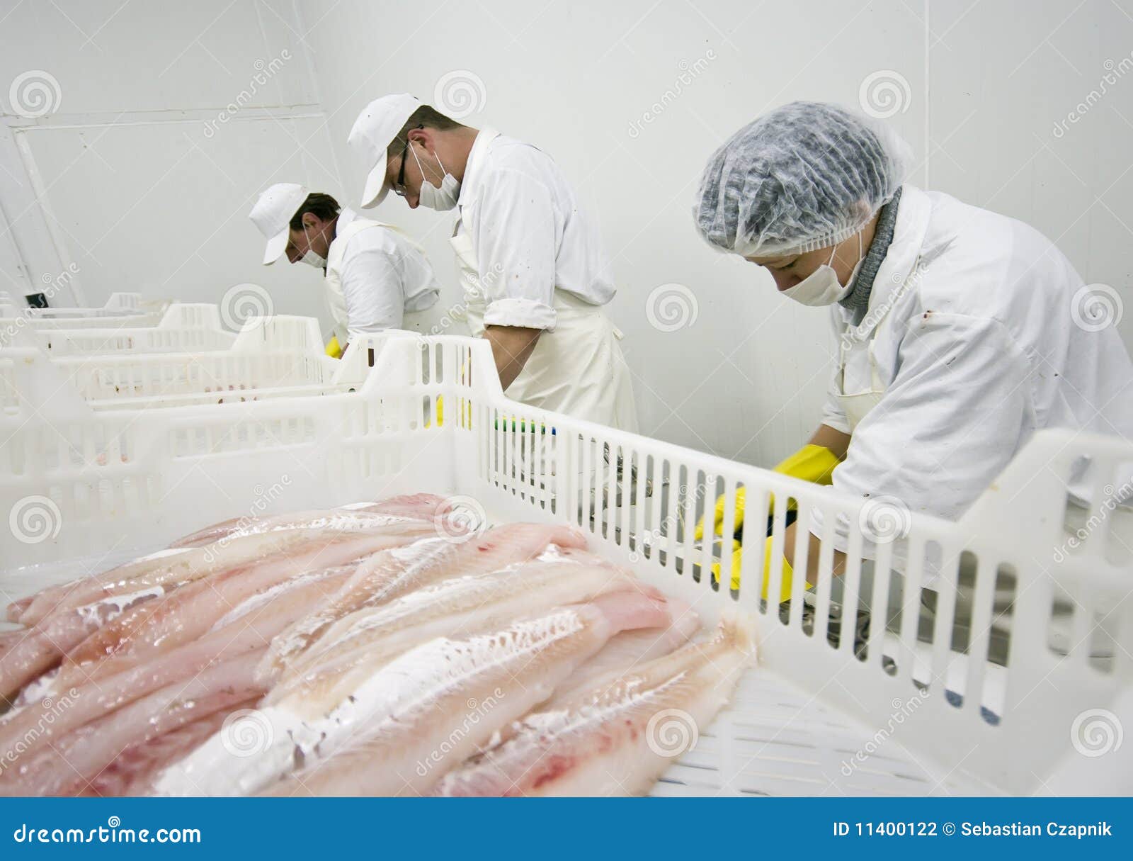 De Verwerking Van Het Voedsel Stock Foto - Image of vrouw ...