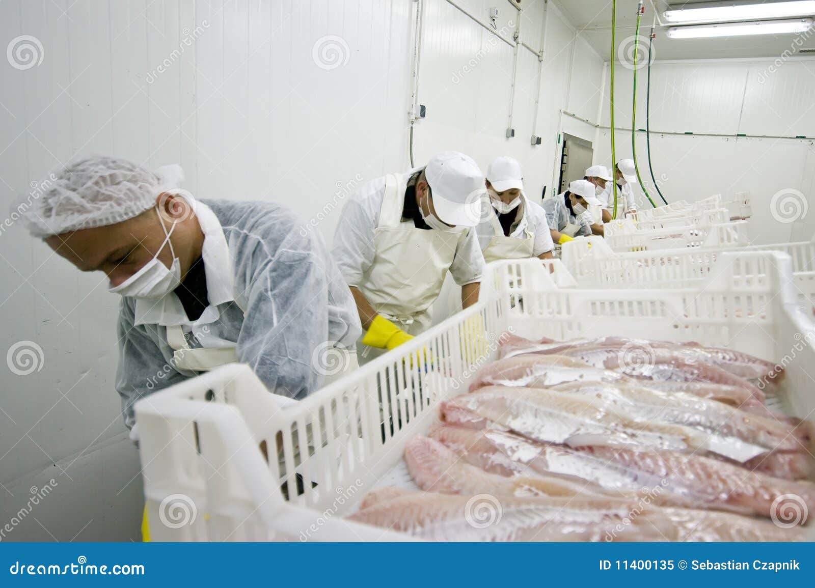 De Verwerking Van Het Voedsel Stock Afbeelding - Image of productie ...