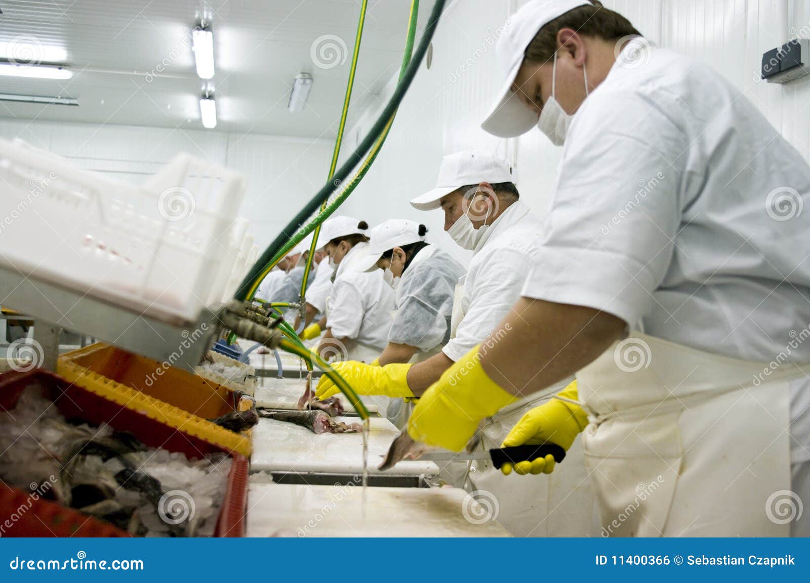 De Verwerkingslijn Van Het Voedsel Stock Foto - Image of productie ...