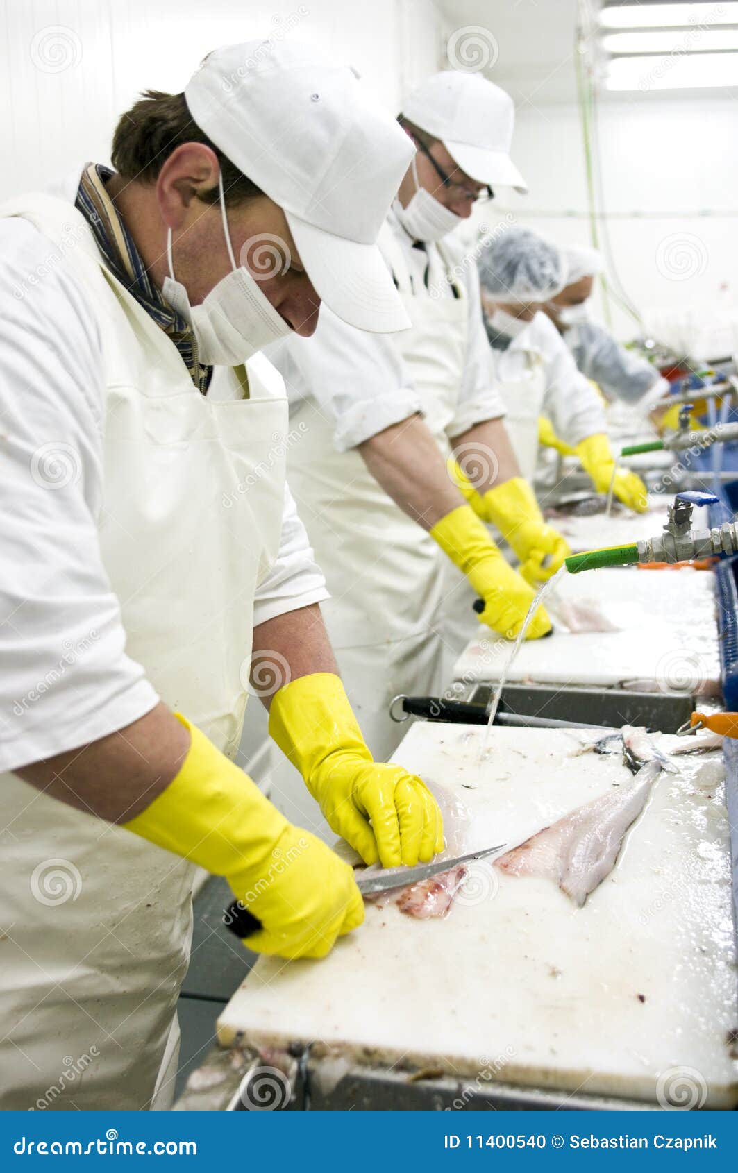 De Verwerkingslijn Van Het Voedsel Stock Foto - Image of voedsel, lijn ...