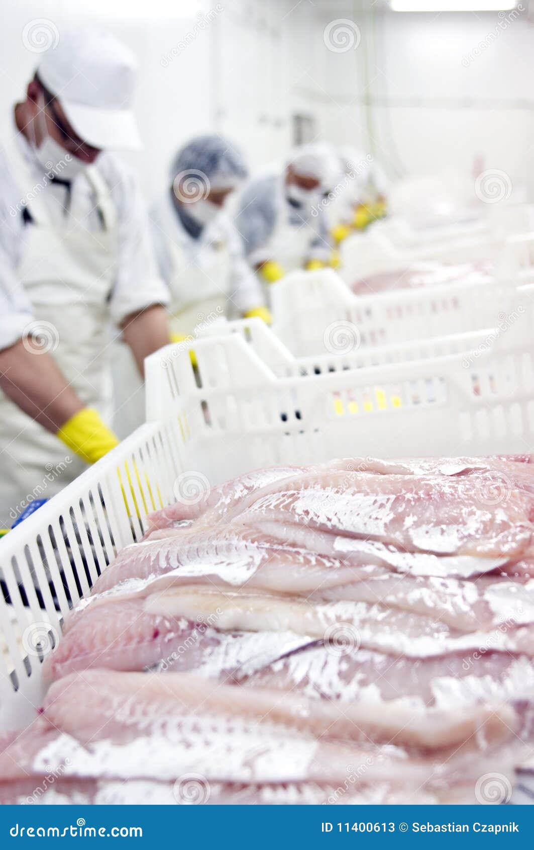 De Verwerkingslijn Van Het Voedsel Stock Afbeelding - Image of vrouw ...