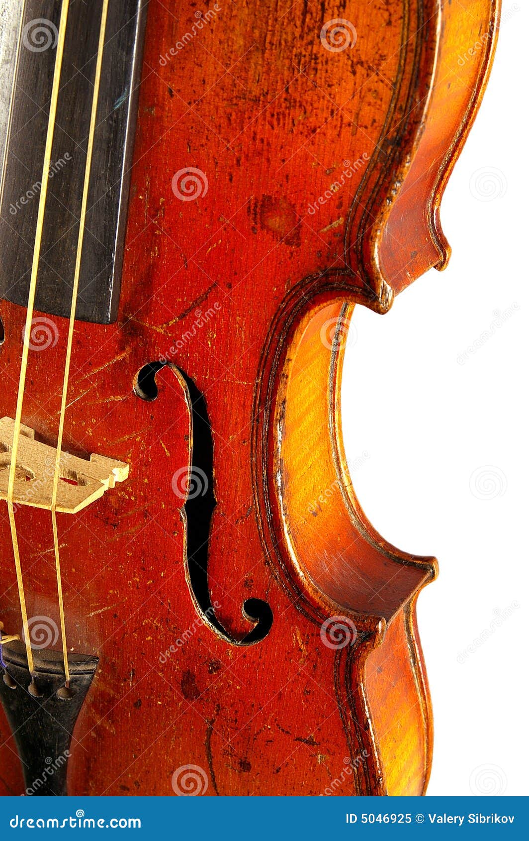 De viool stock afbeelding. Image of geluid, harmonie, nota - 5046925