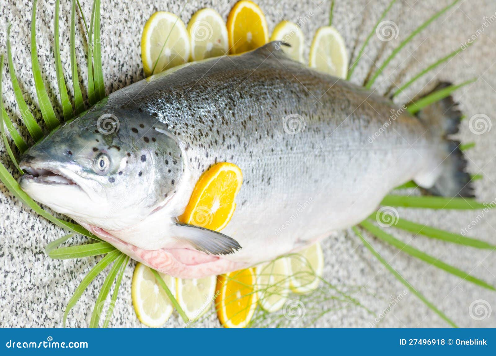 De vissen van de zalm stock foto. Image of voedsel, noors - 27496918