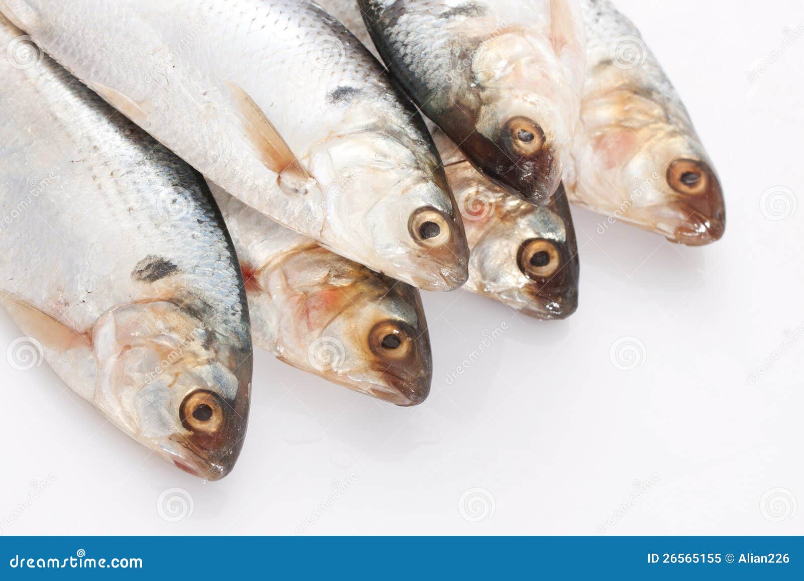De vissen van haringen stock afbeelding. Image of maaltijd - 26565155