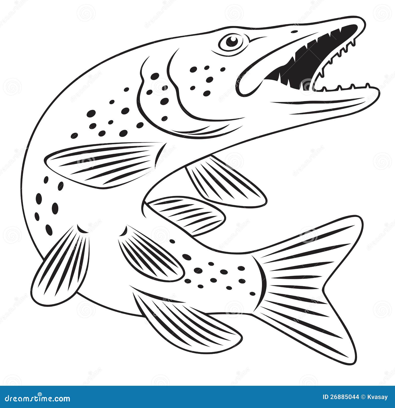 De vissen van snoeken vector illustratie. Illustratie bestaande uit ...