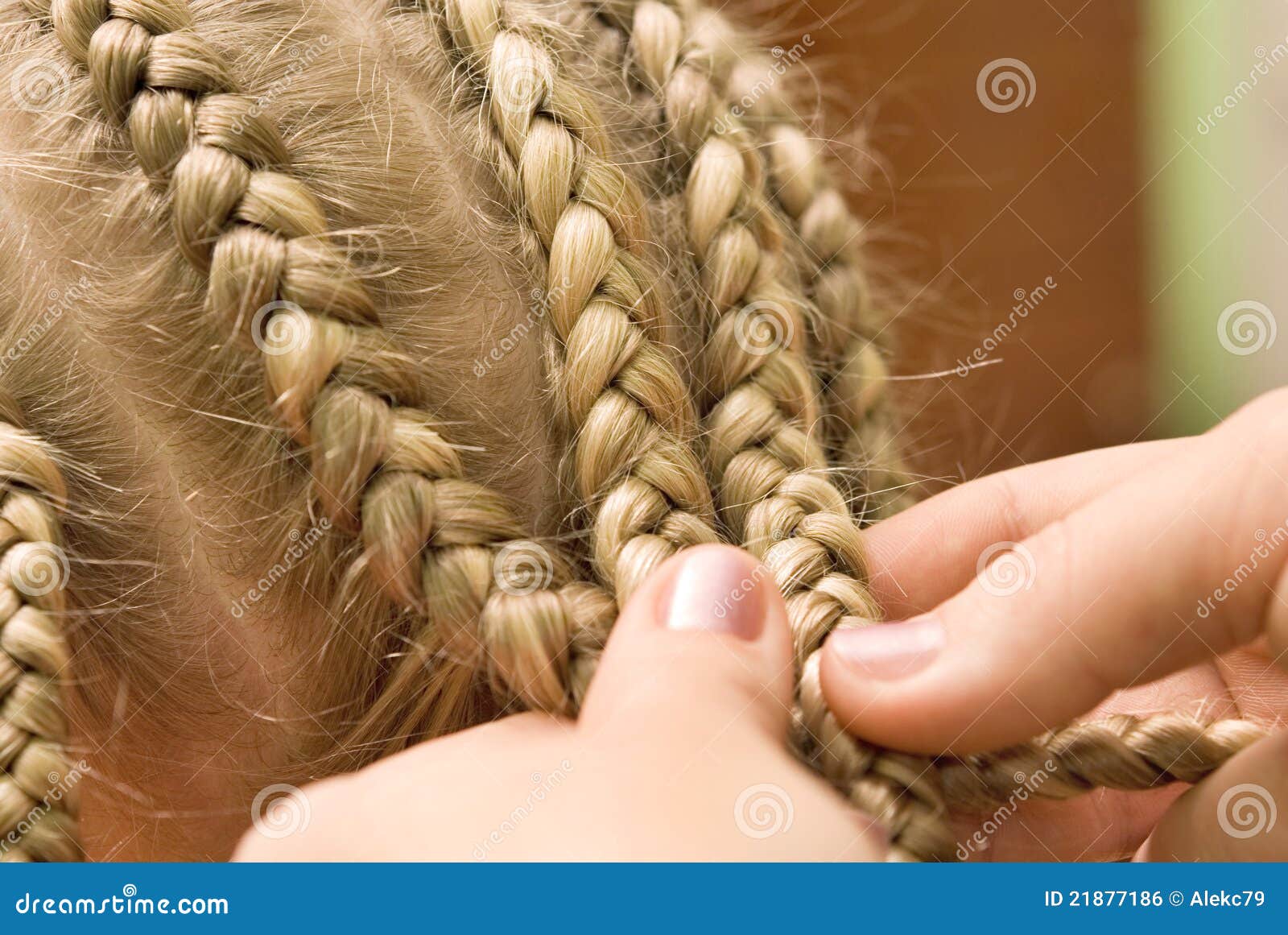 De vlecht van de vlecht stock foto. Image of menselijk - 21877186