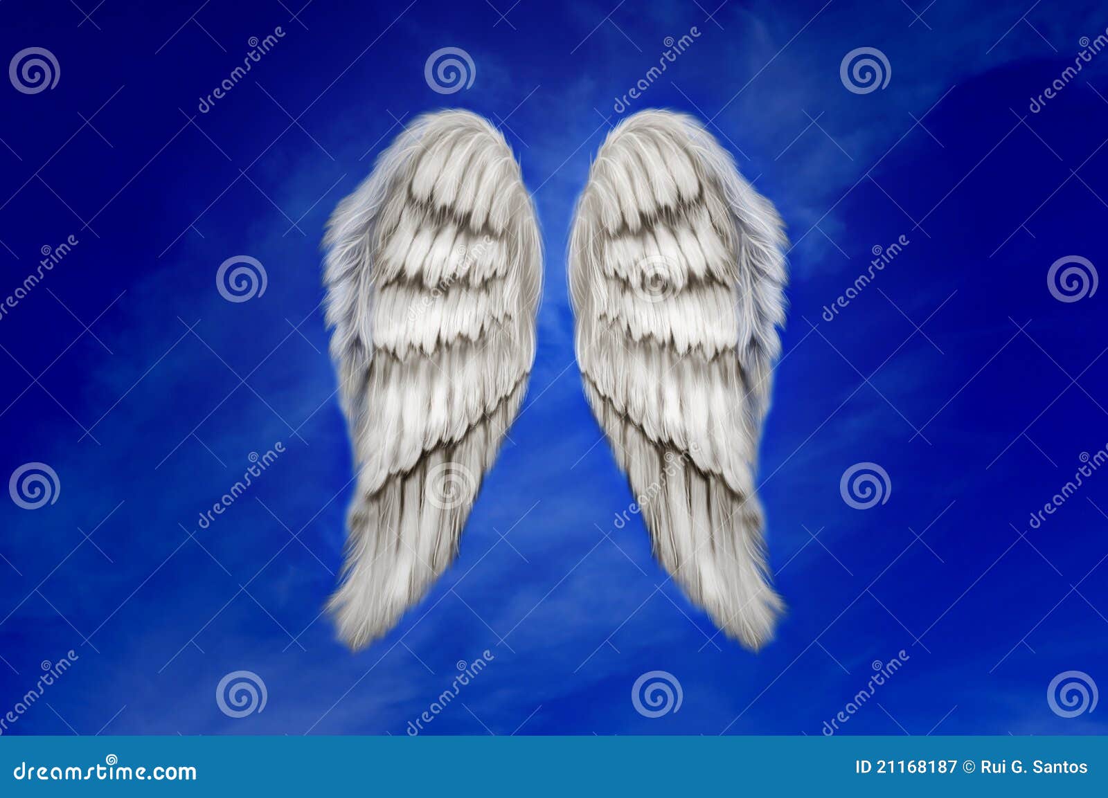 De Vleugels van de engel stock afbeelding. Image of vlotter - 21168187