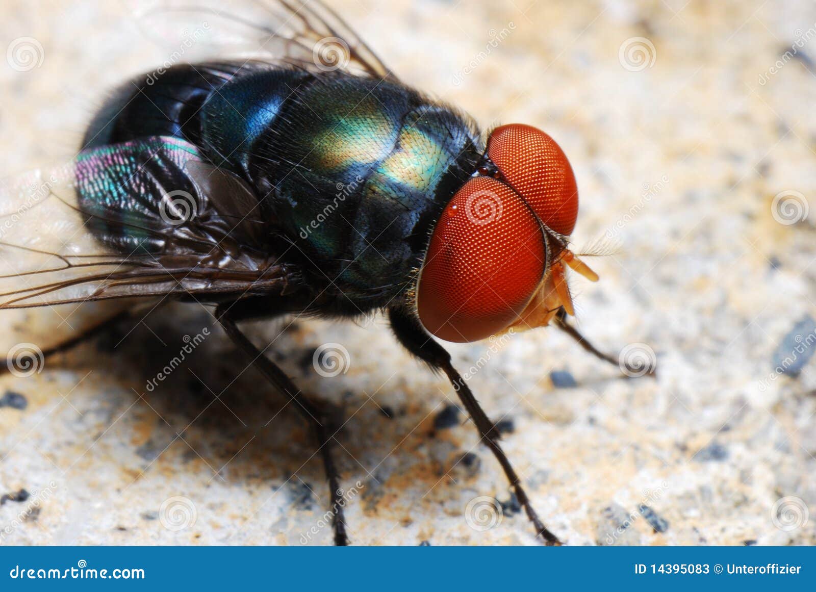 De Vlieg van de fles stock afbeelding. Image of metaal - 14395083