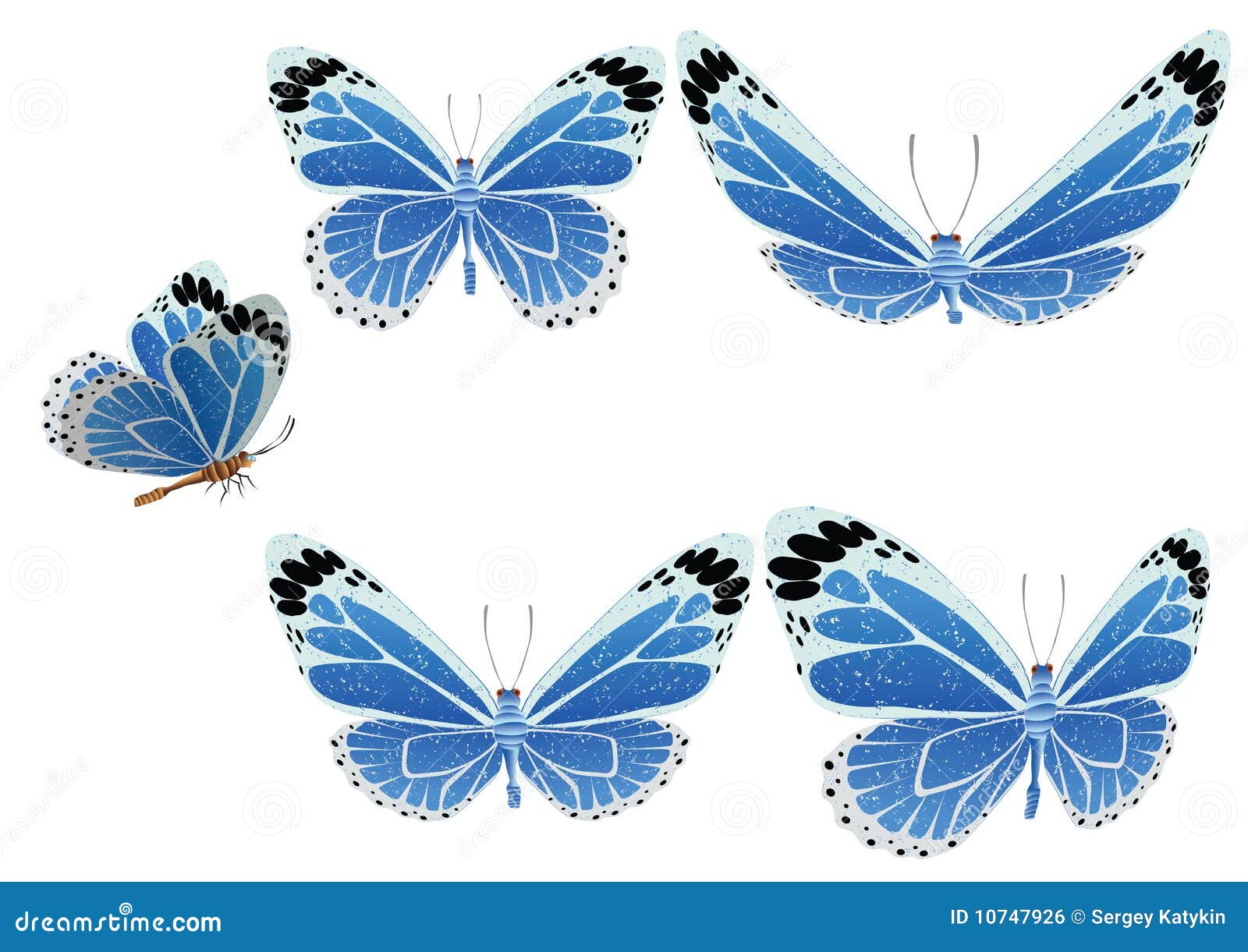 De Vlinder Met Kleurenvleugels. Vector. Vector Illustratie ...