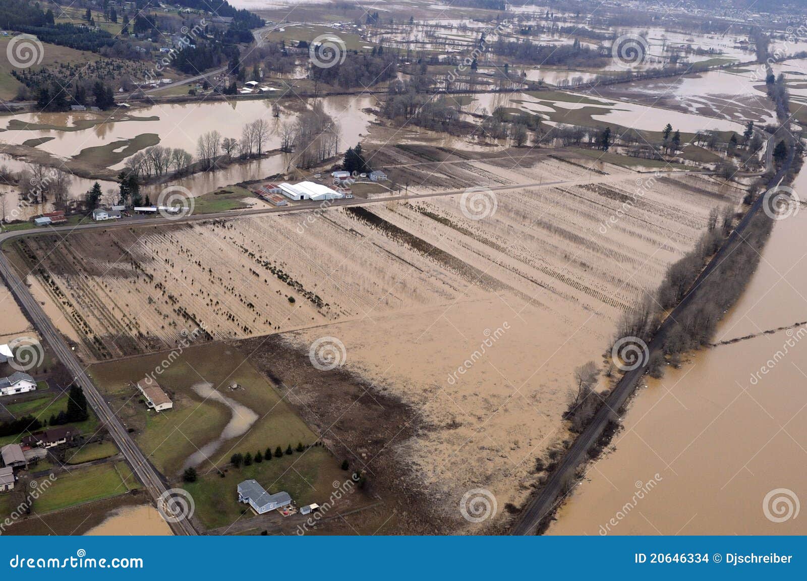 De Vloed Van De Staat Van Washington Stock Foto - Image of ...