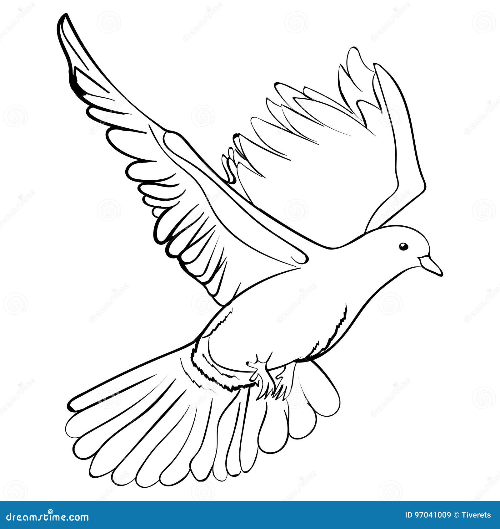 De Vrije Vliegende Witte Duif, Schetst Vectorillustratie Vector ...
