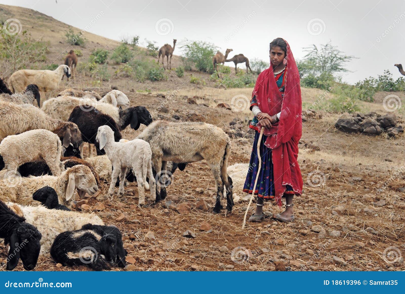 De Vrouwen Van De Zigeuner in India Redactionele Foto - Image of open ...