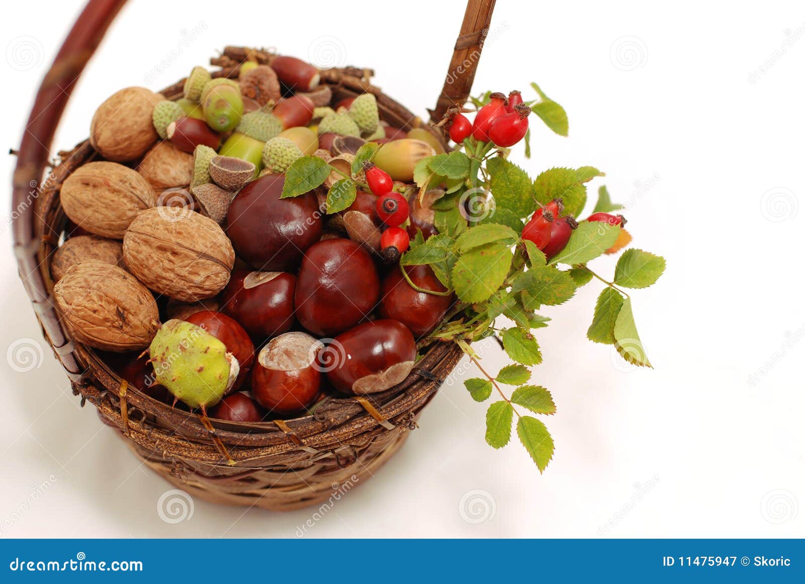 De vruchten van de herfst stock afbeelding. Image of oogst - 11475947