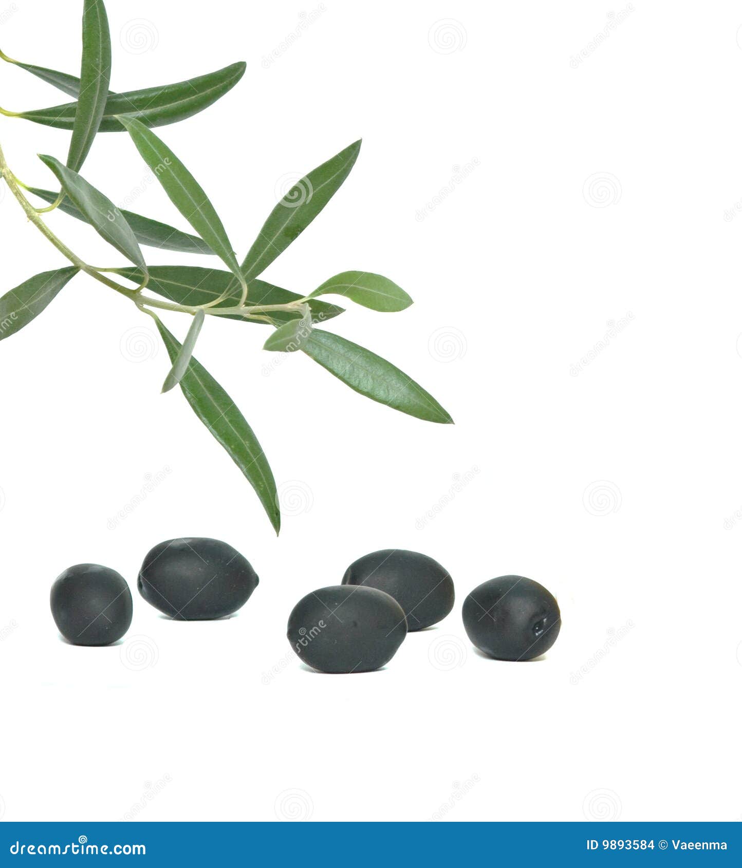 De vruchten van de olijf stock foto. Image of eetbaar - 9893584