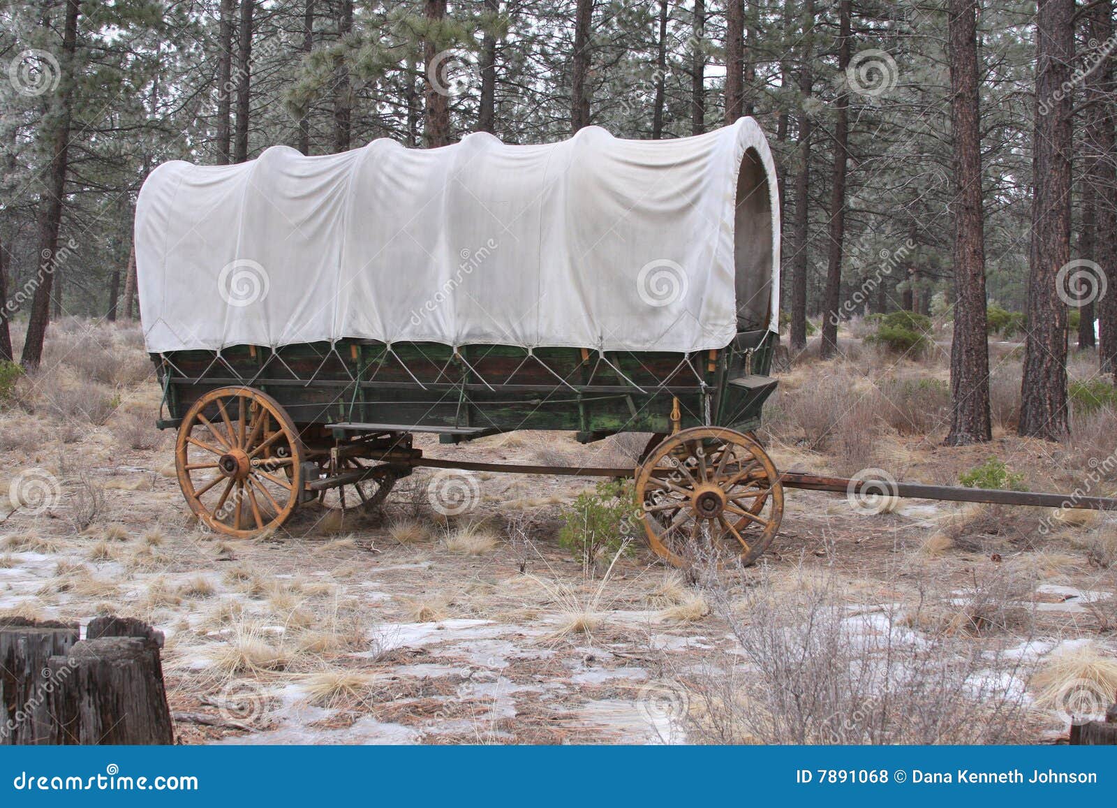 De Wagen van Conestoga stock foto. Image of geschiedenis - 7891068