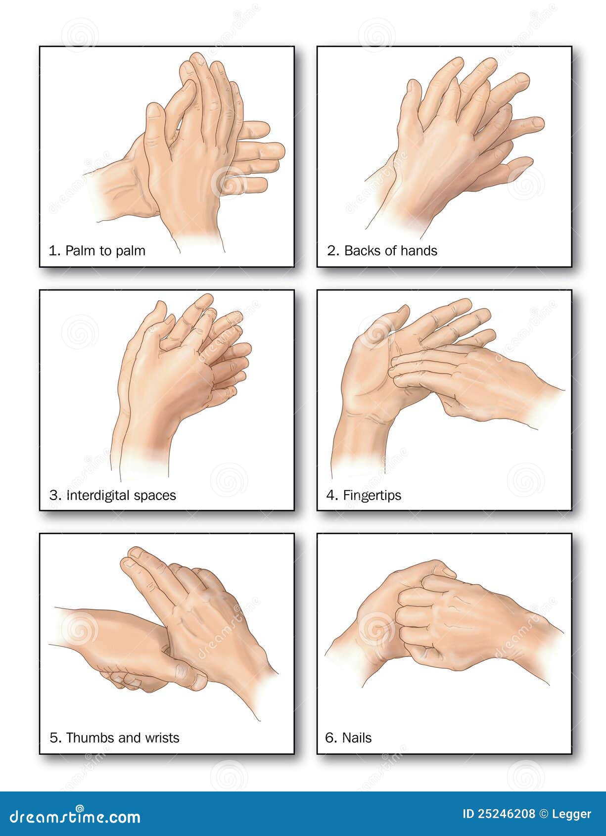 De was van de hand stock illustratie. Illustration of gezondheid - 25246208