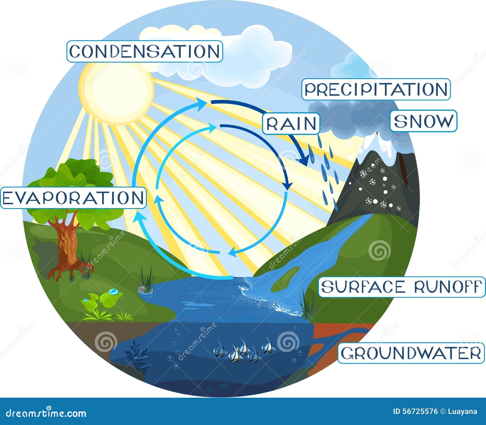 De watercyclus vector illustratie. Illustration of milieu - 56725576