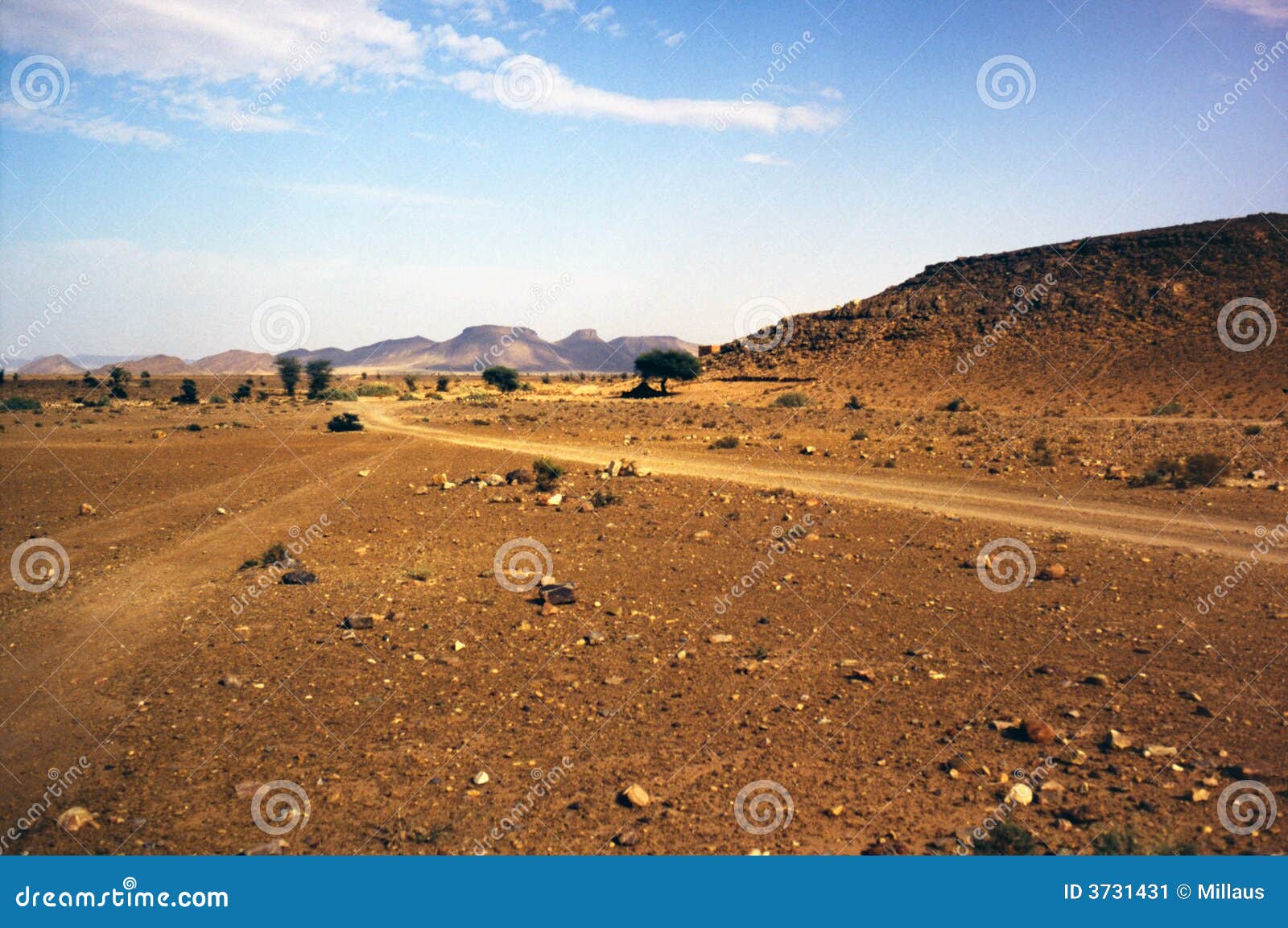 De weg in de woestijn stock afbeelding. Image of achtergrond - 3731431