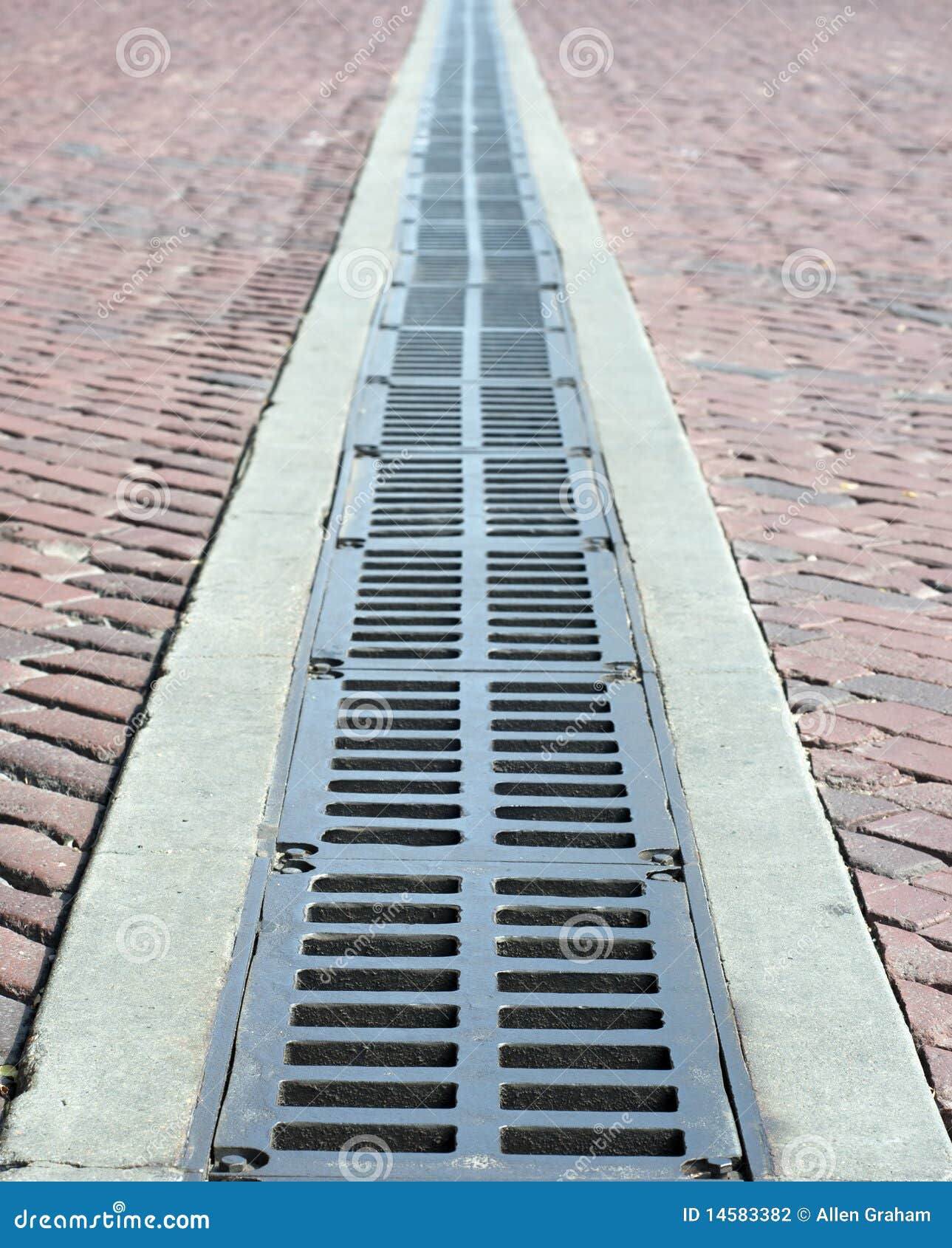 De Weg En De Rooster Van De Baksteen Stock Foto - Image of rooster ...