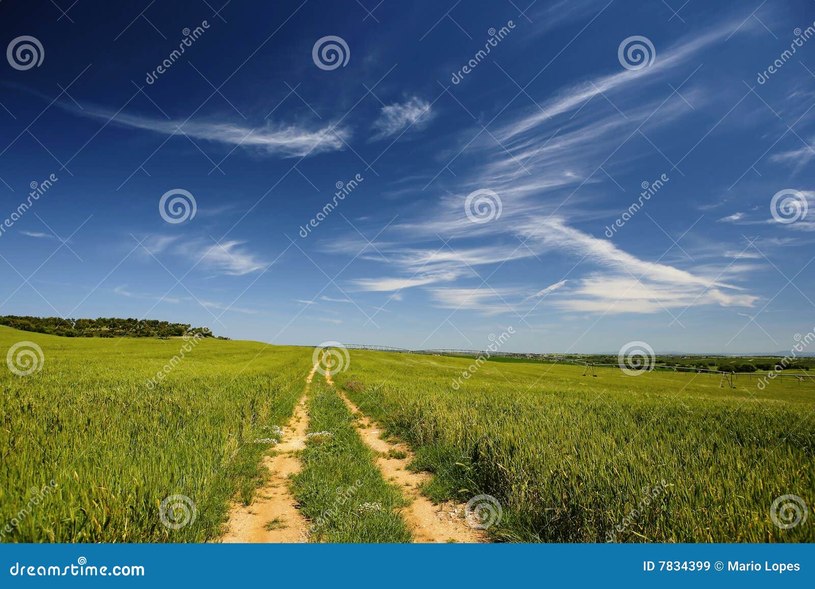 Wegweg in Mooi De Lentelandschap Stock Afbeelding - Image of platteland ...