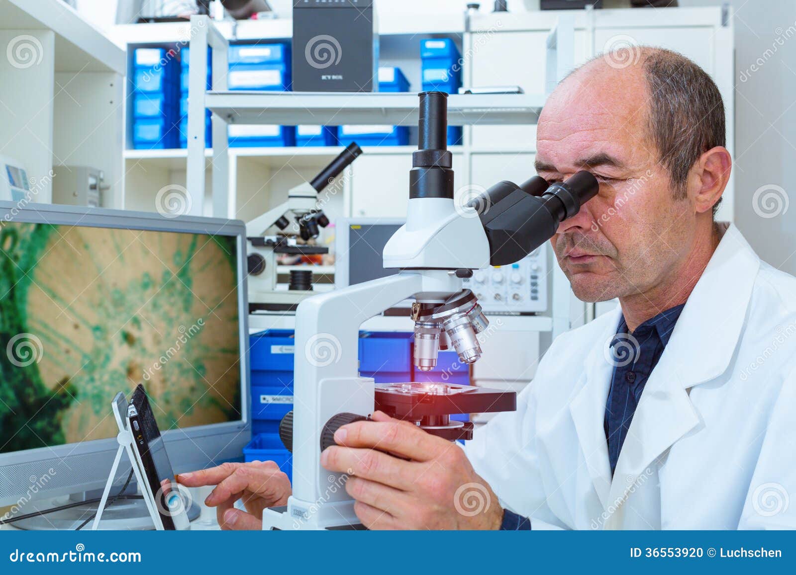 De Wetenschapper Onderzoekt Biopsiesteekproeven Stock Foto - Image of ...