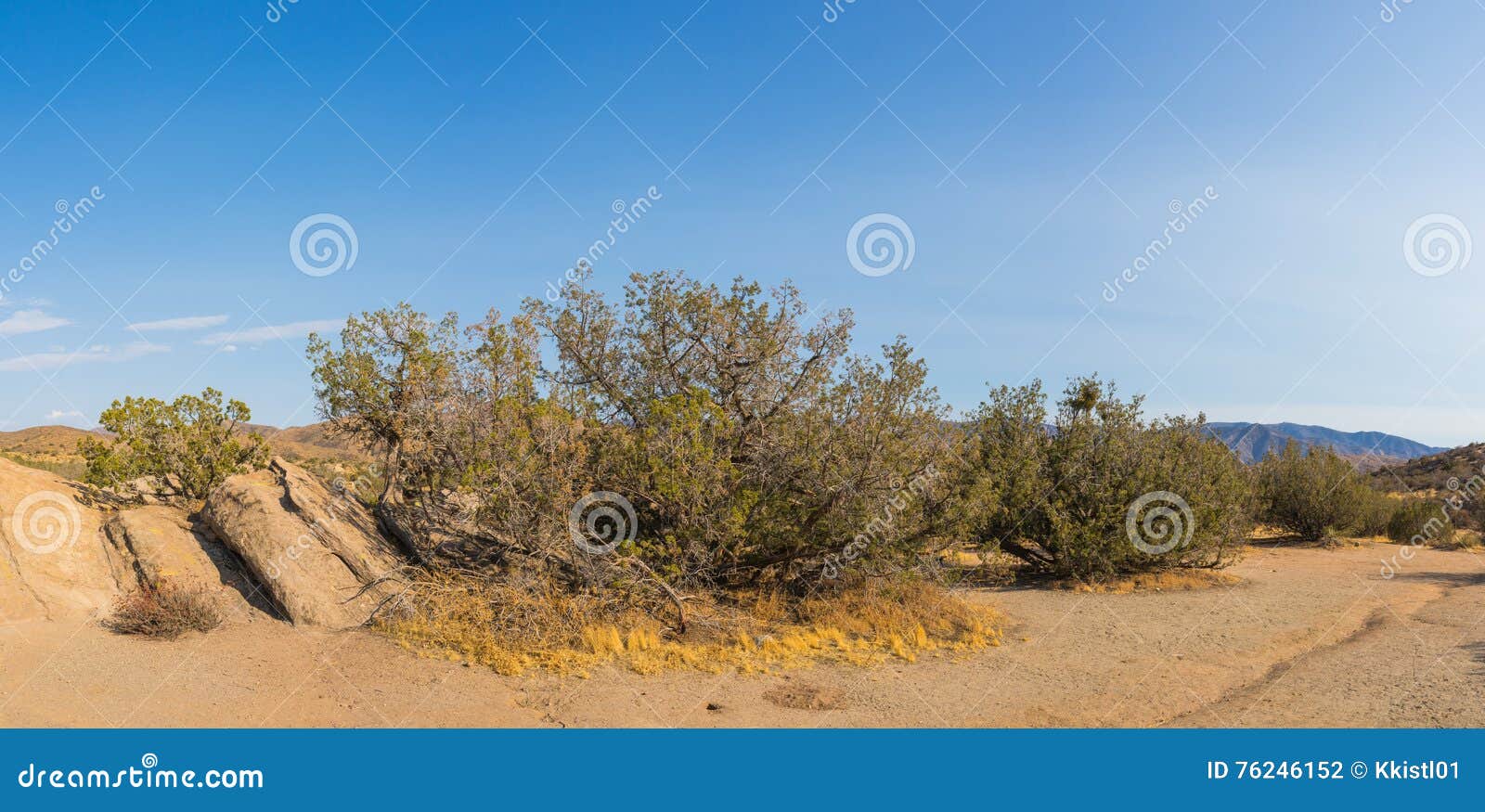 De Wildernis Van De Mojavewoestijn Stock Foto - Image of zuidelijk ...