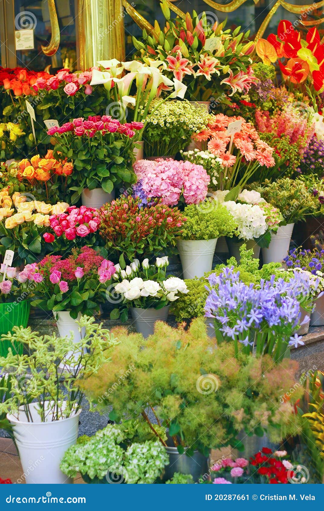 De winkel van de bloem stock afbeelding. Image of winkel - 20287661