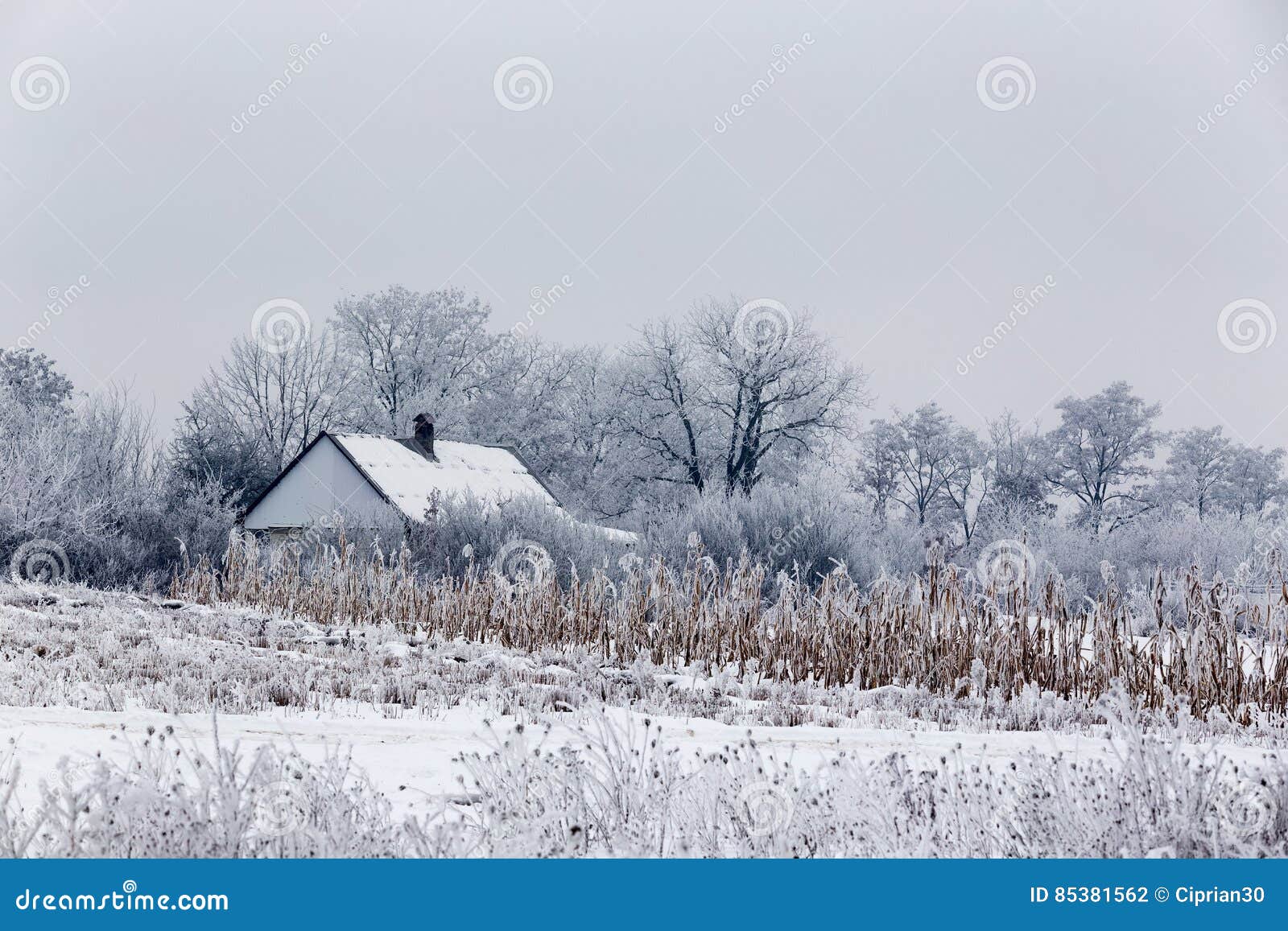 De Winter Koude Dag in Een Dorp Stock Foto - Image of seizoen, mooi ...